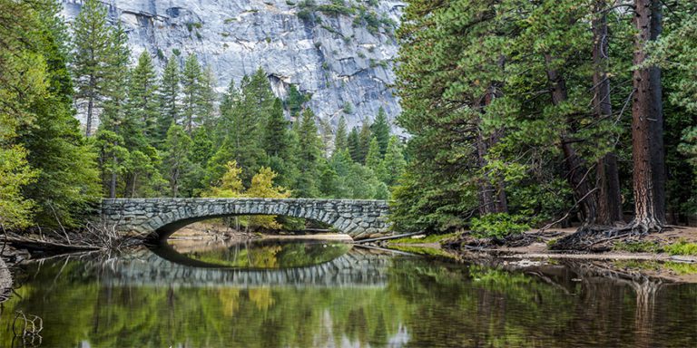 Why Law Firm Websites Need Evergreen Content & Blog Content - LawLytics